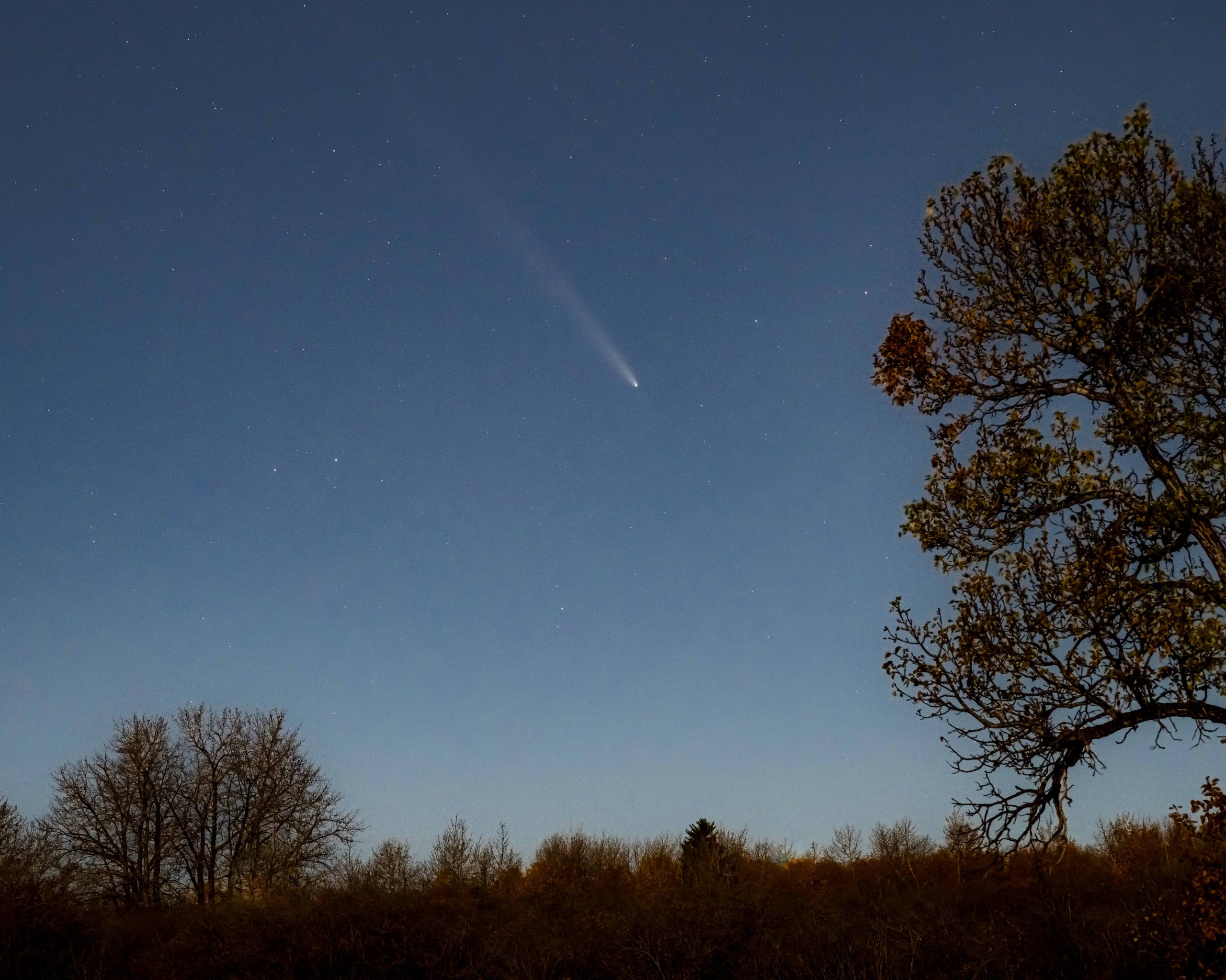 The Night Sky This Month - November - Cosmic Pursuits